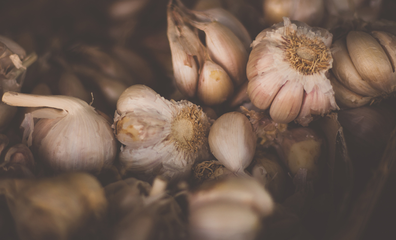 5 reasons vampires are repelled by garlic – The World of Ithilear ...